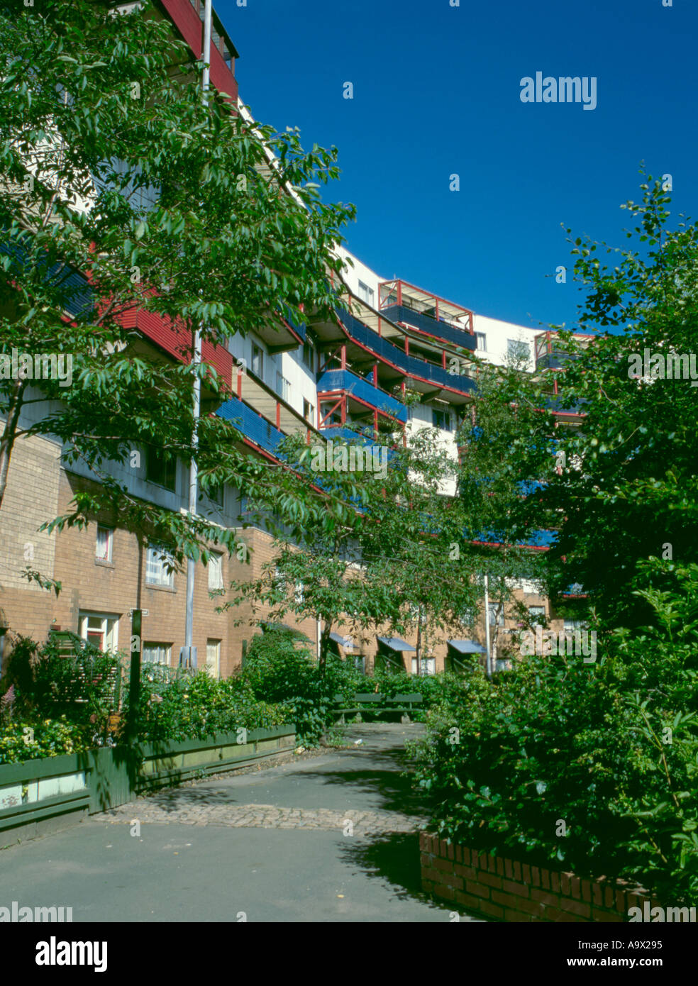 Byker wall trees newcastle upon hi-res stock photography and images - Alamy