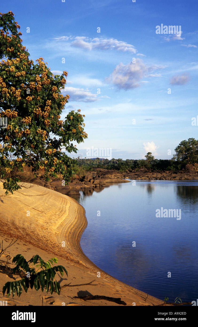 Xingu River, Amazon, Brazil. Steep sandy beach shoreline in golden ...
