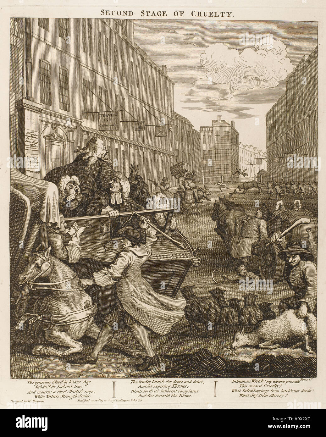 Cruelty animals hi-res stock photography and images - Alamy