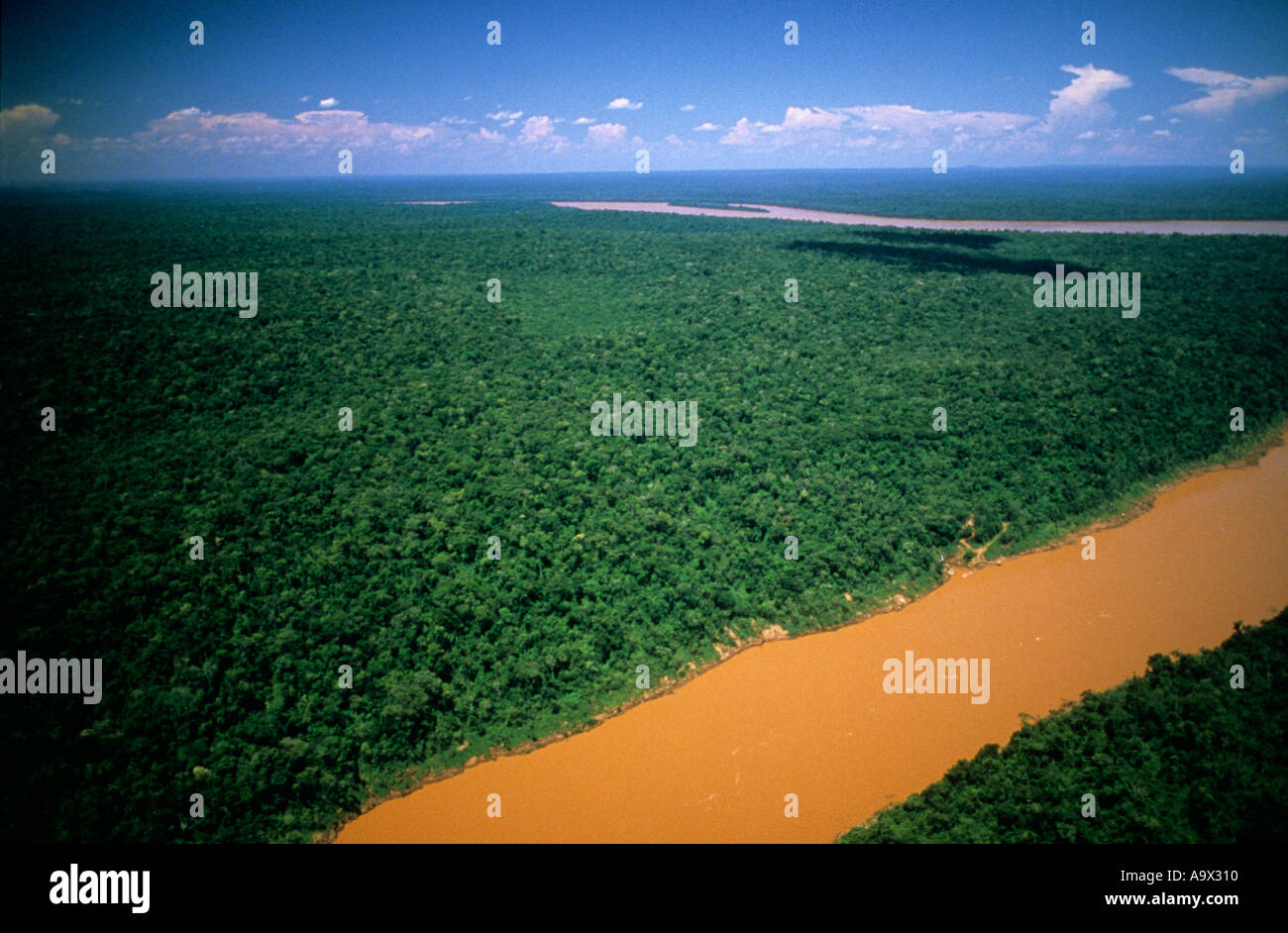 Brazil - Paraguay border. Aerial view of the rainforest canopy and the ...