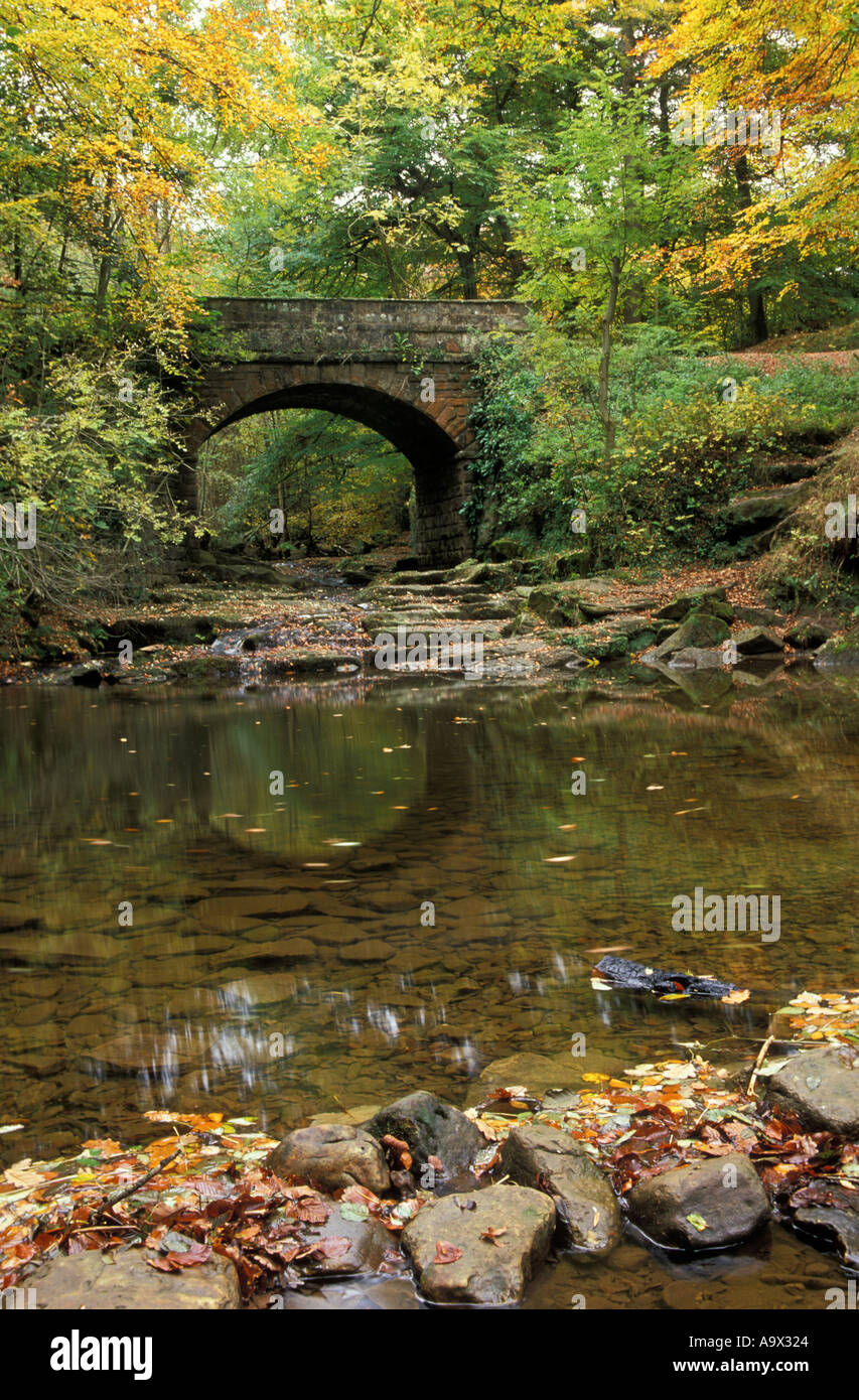 Sneaton hi-res stock photography and images - Alamy
