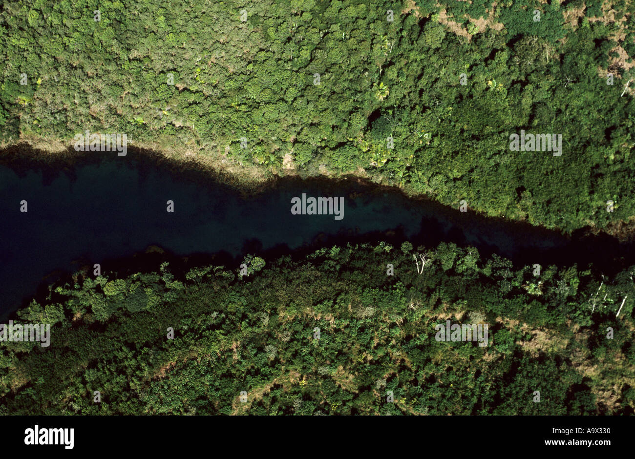 Aerial view amazon rainforest tributary hi-res stock photography and ...