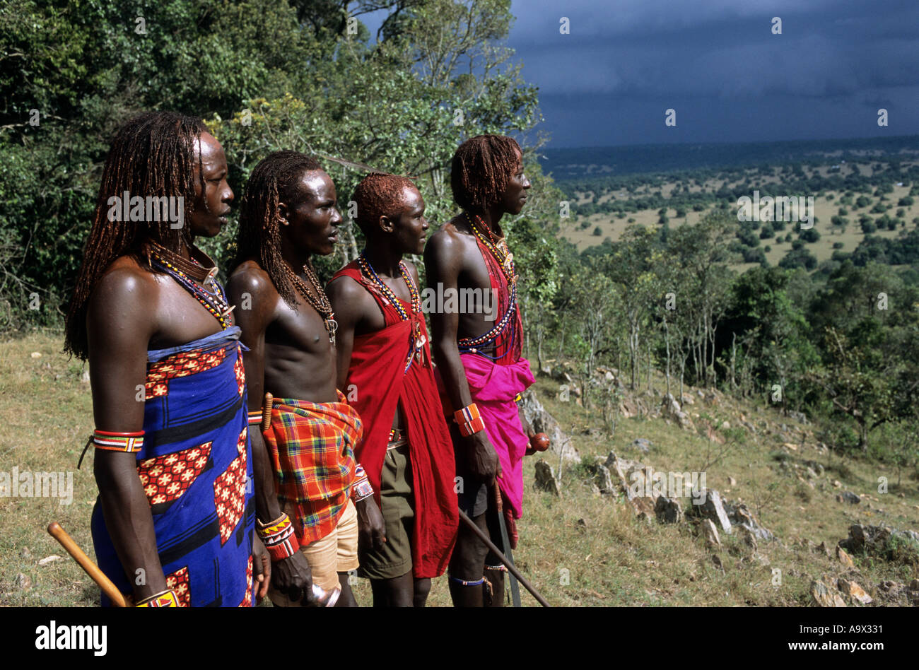 Four maasai young men hi-res stock photography and images - Alamy