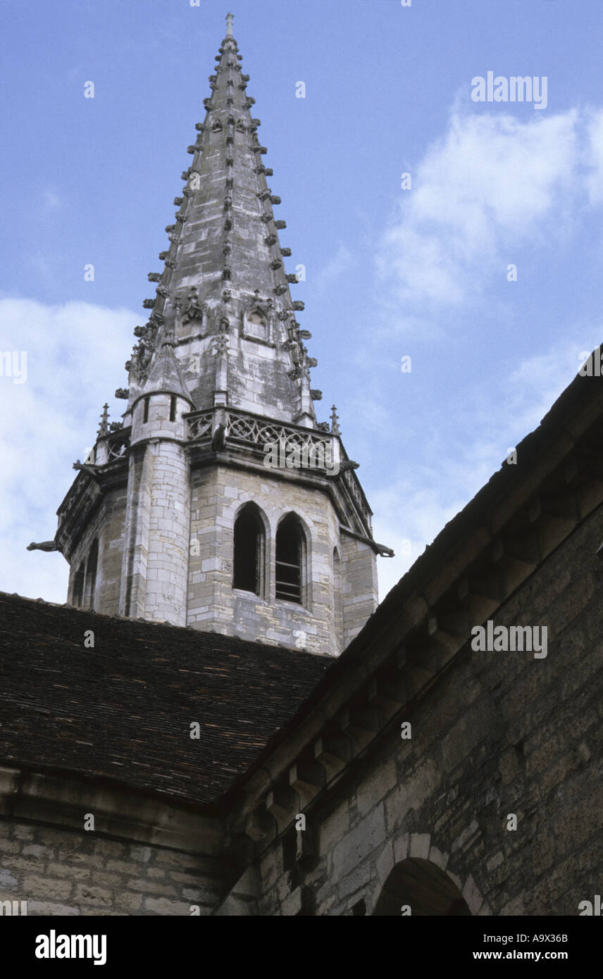 Dijon Museum France Burgundy Architecture Detail spire roof Stock Photo ...