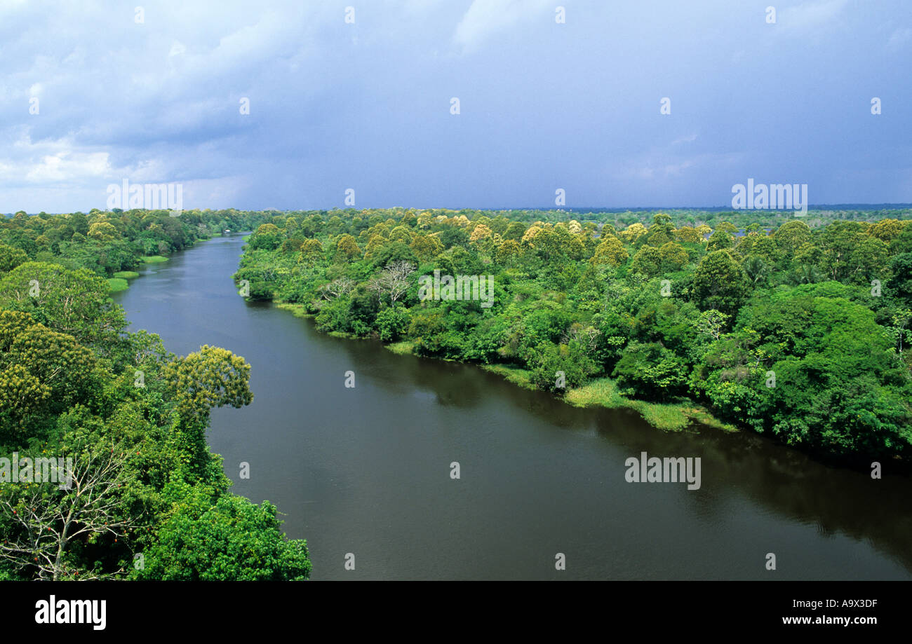 Amazonas State, Brazil. High view of a tributary of the Rio Negro with ...