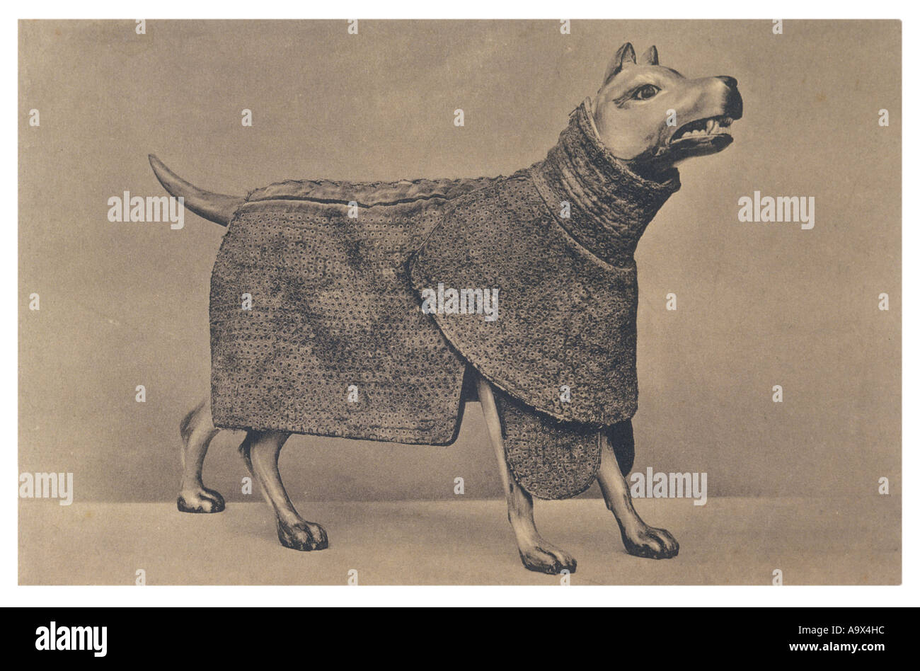 Armoured Dog Statue Stock Photo - Alamy