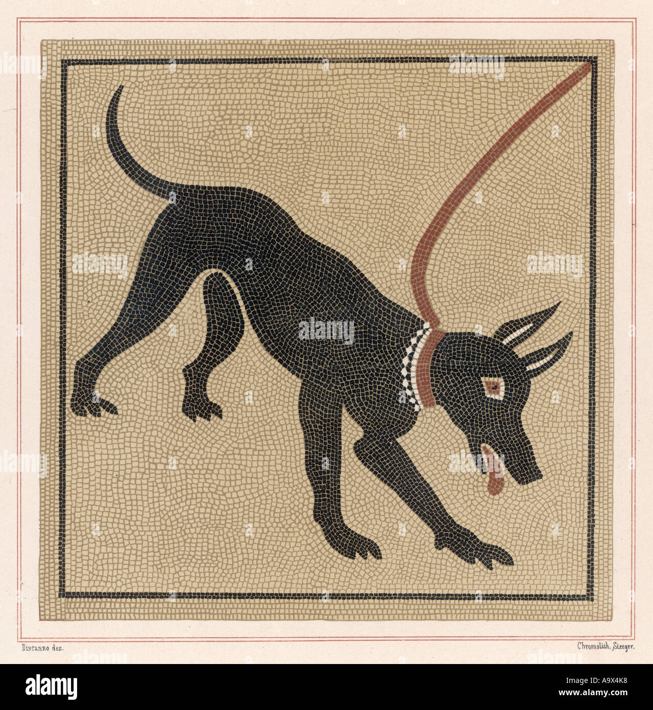 Roman mosaic dog hi-res stock photography and images - Alamy