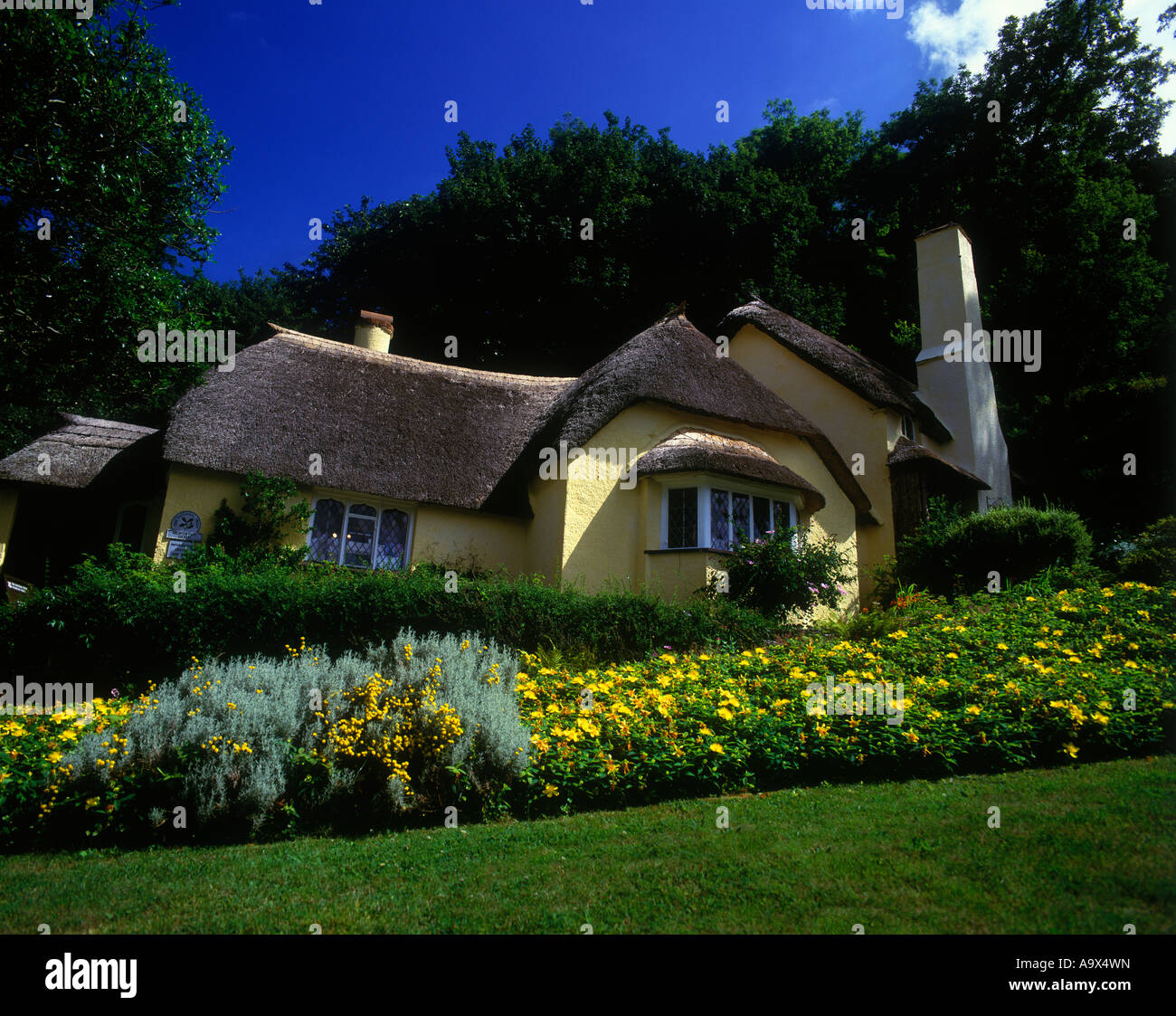 COTTAGE SELWORTHY GREEN VILLAGE EXMOOR SOMERSET ENGLAND UK Stock Photo ...