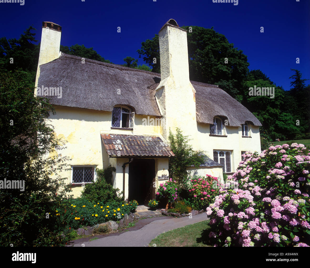 COTTAGE SELWORTHY GREEN VILLAGE EXMOOR SOMERSET ENGLAND UK Stock Photo ...
