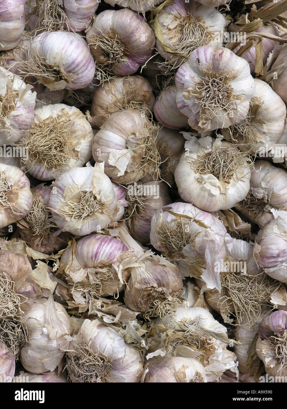 French cookery book hi-res stock photography and images - Alamy