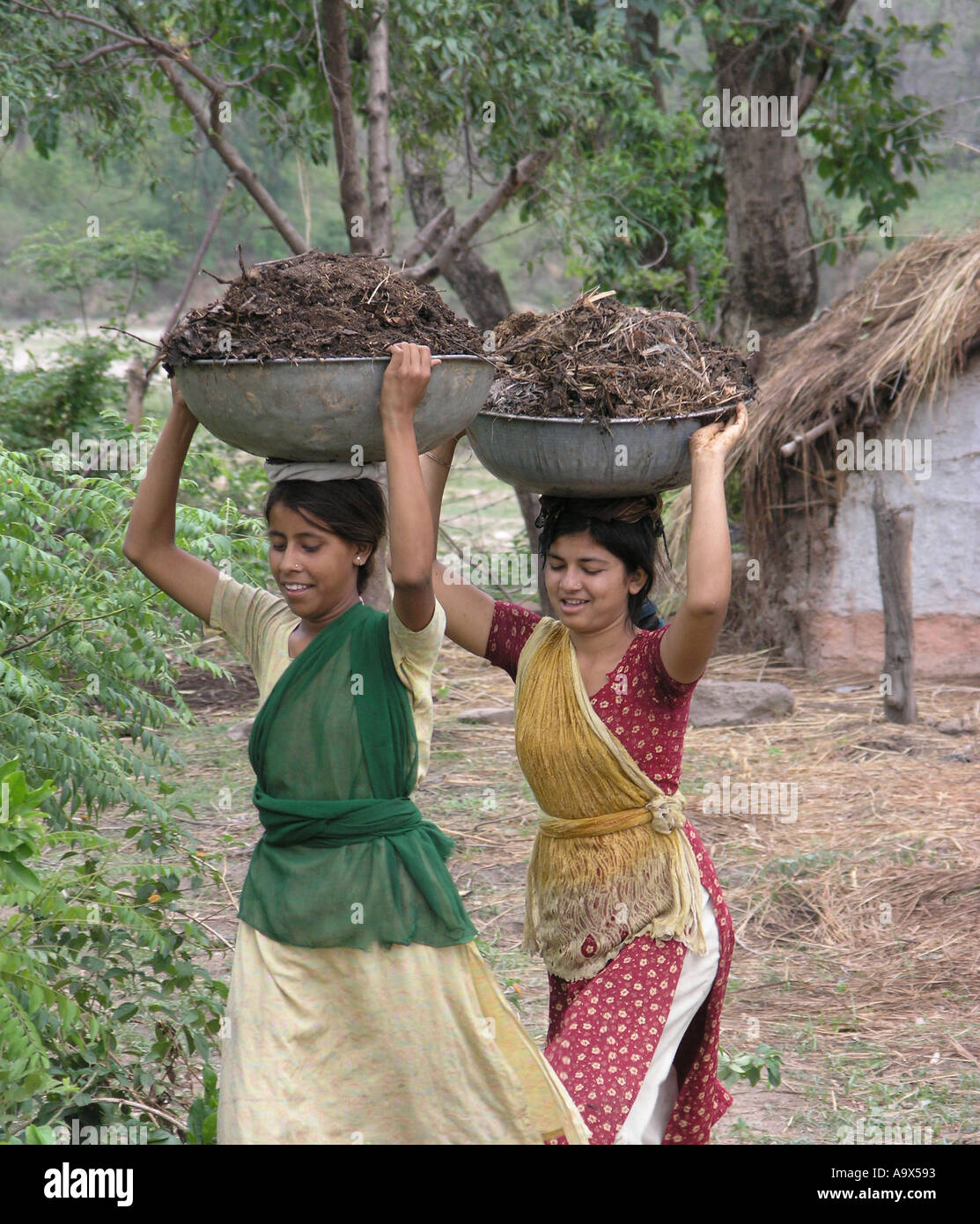 Indian peasants hi-res stock photography and images - Alamy