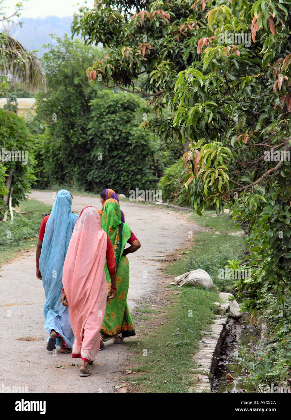 Indian woman walking down a jungle track hi-res stock photography and ...