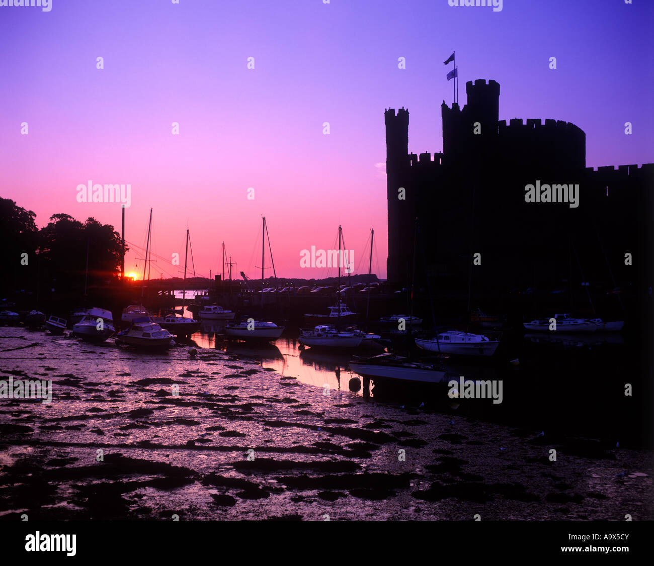 LOW TIDE CAERNARFON CASTLE GWYNEDD NORTH WALES COAST UK Stock Photo - Alamy
