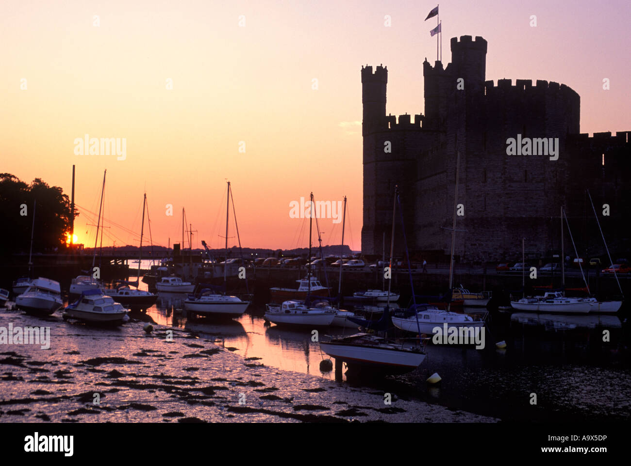 LOW TIDE CAERNARFON CASTLE GWYNEDD NORTH WALES COAST UK Stock Photo - Alamy