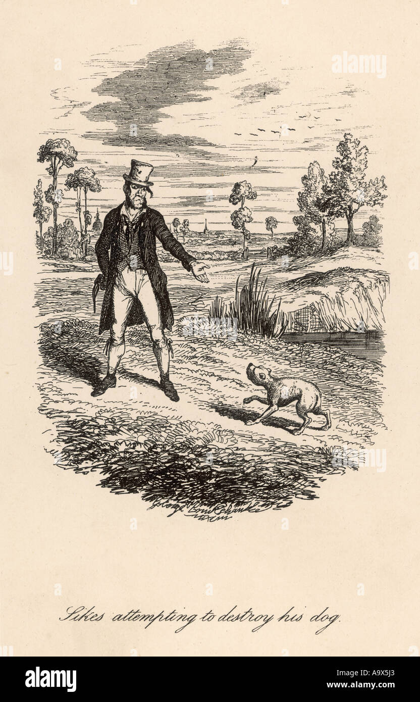 Bill sykes bullseye hi-res stock photography and images - Alamy