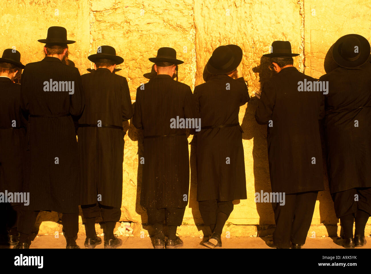 HASIDIC JEWS PRAYING MENS SECTION WESTERN WAILING WALL JERUSALEM ISRAEL ...
