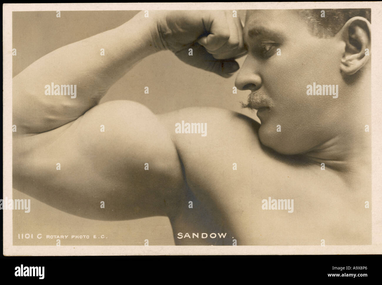 Sandow High Resolution Stock Photography and Images - Alamy
