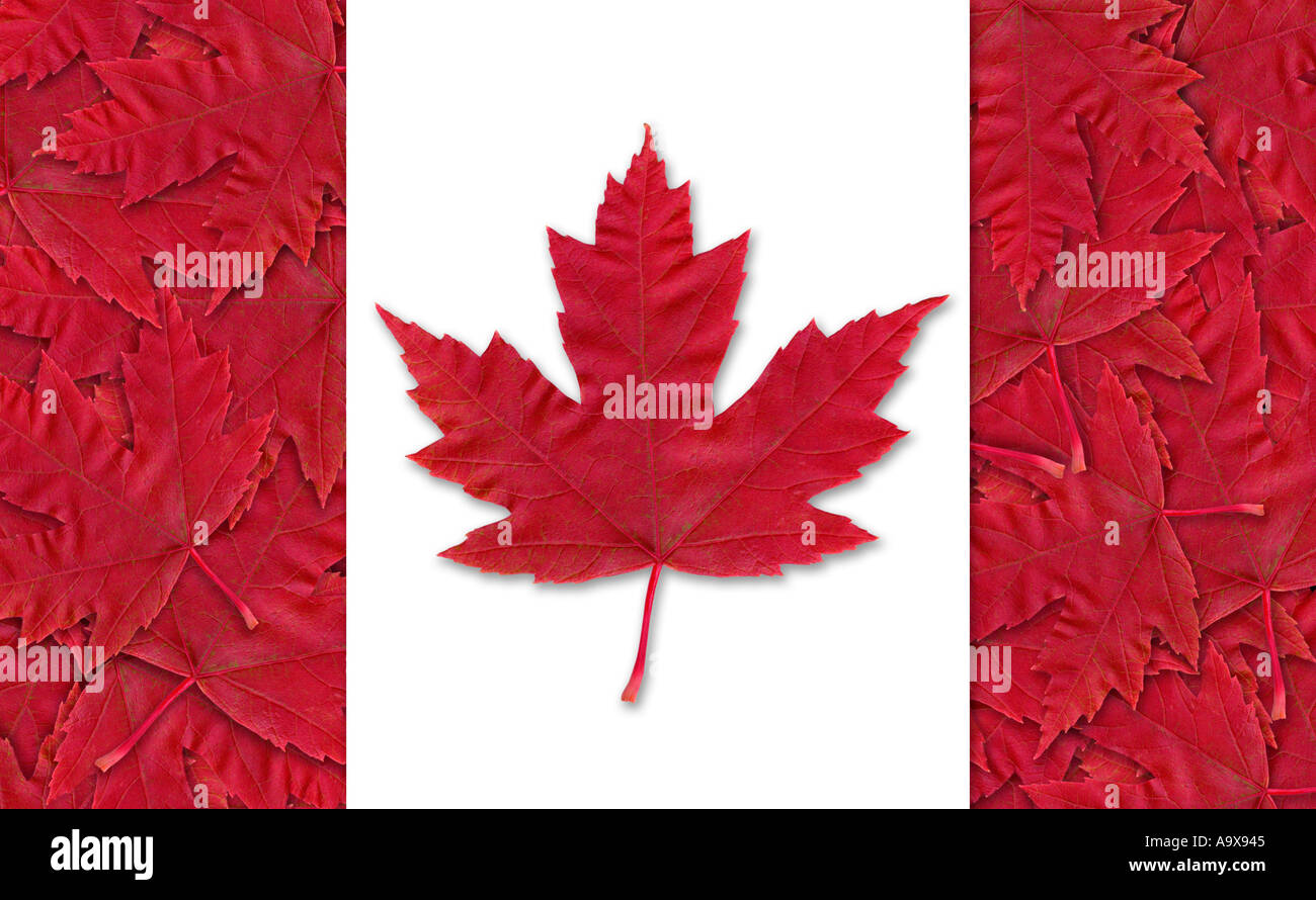 Canadian flag made with red maple leaves Stock Photo - Alamy