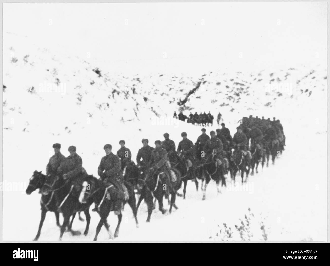Russian cavalry hi-res stock photography and images - Alamy