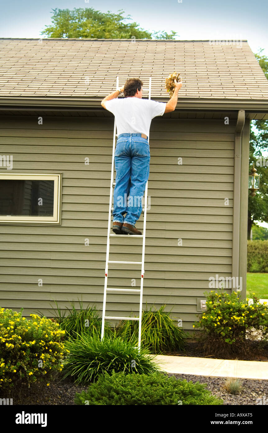 Man cleaning gutters Stock Photo - Alamy