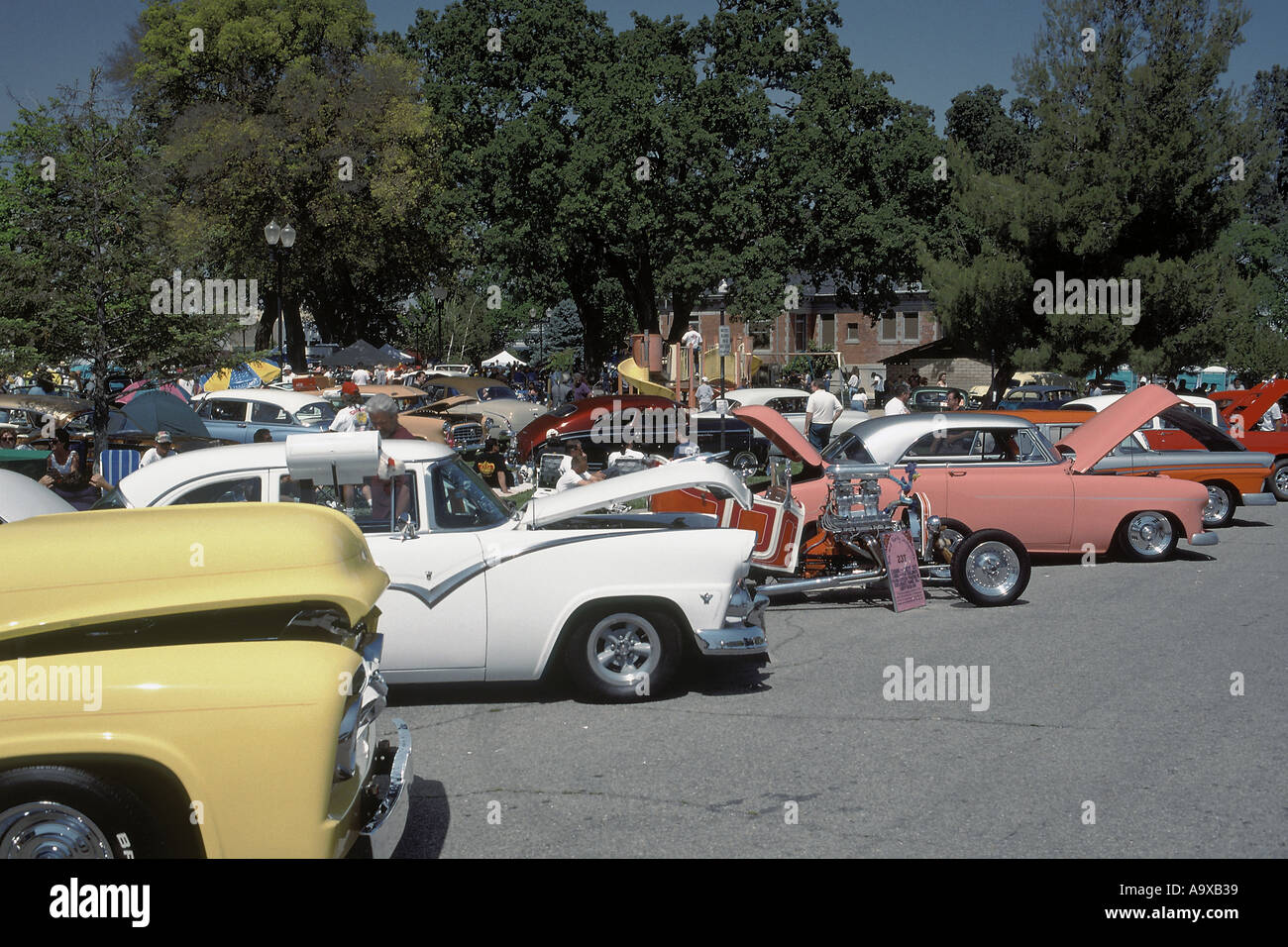 Hoods up for inspection of engine compartment at this custom car show ...