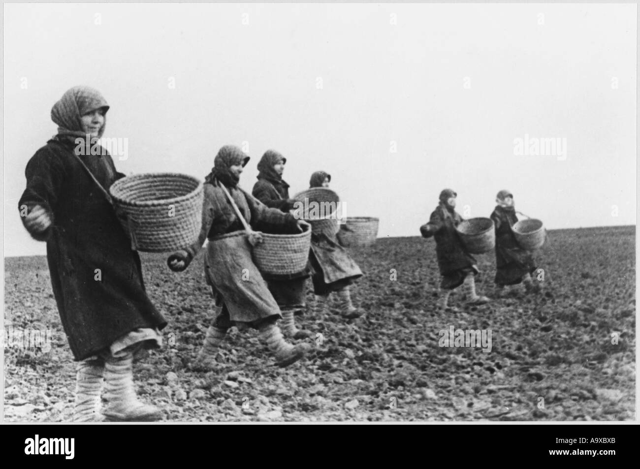 Russia farming hi-res stock photography and images - Alamy