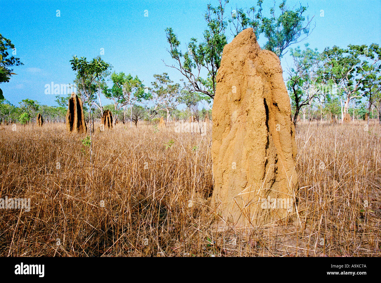 Cathedral termites and their mounds hi-res stock photography and images ...
