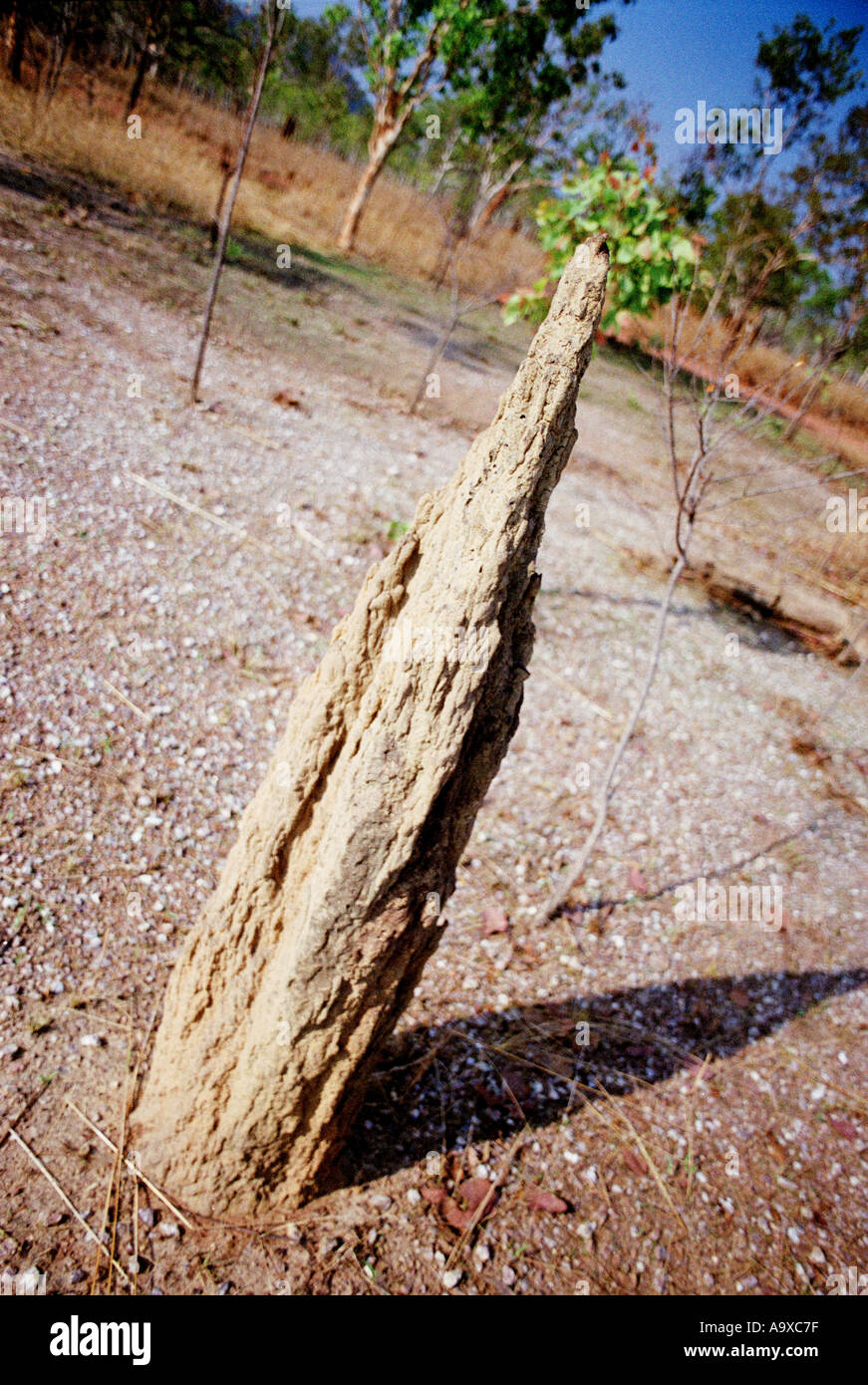 Magnetic termites hi-res stock photography and images - Alamy