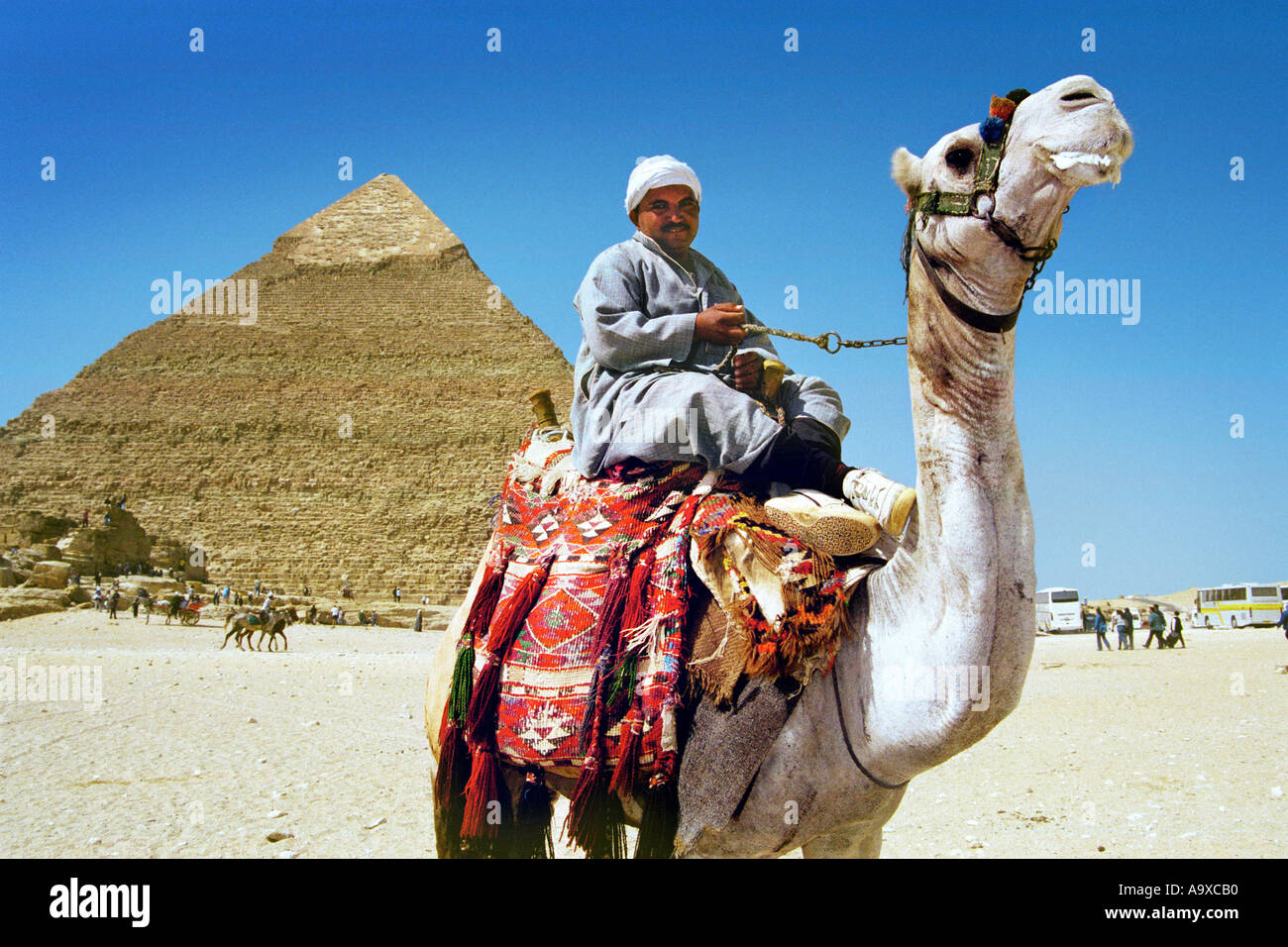 Camel owner in front of the Kephren pyramid in Giza Cairo trying to ...