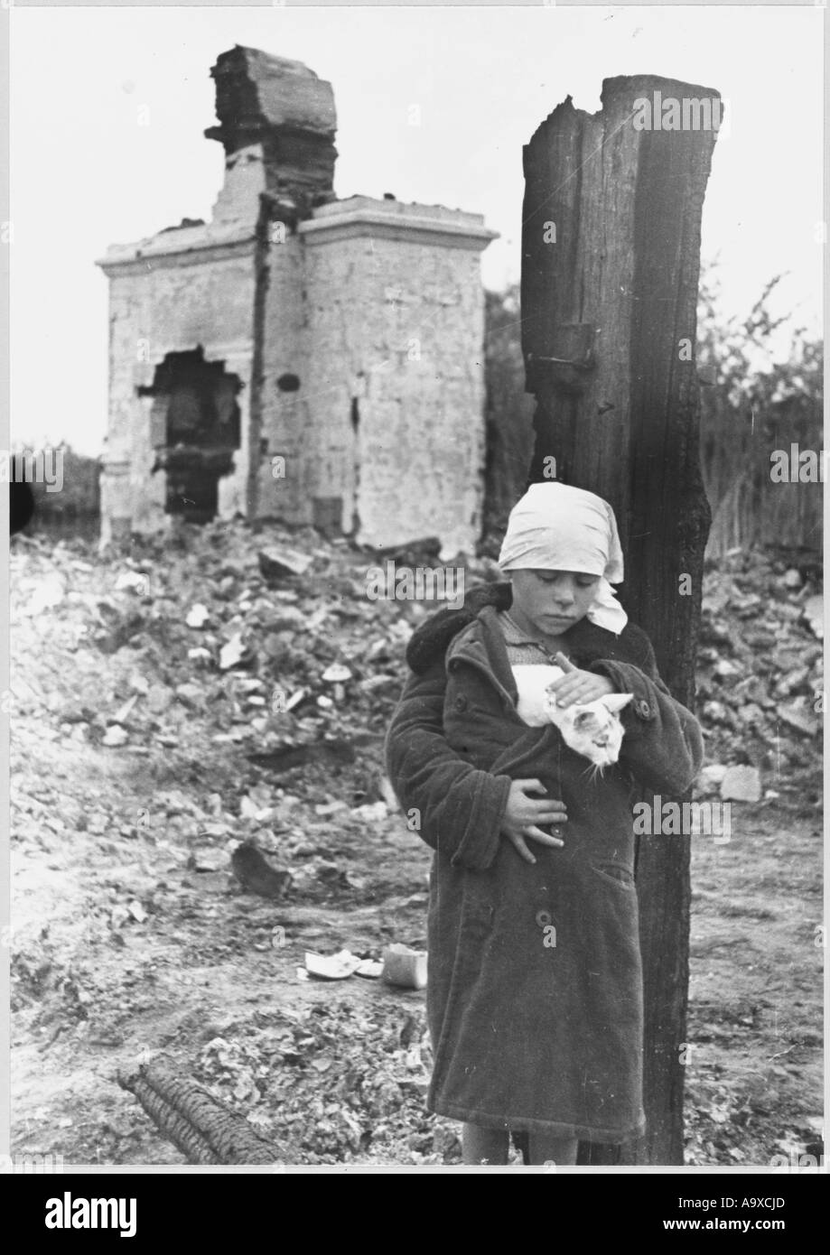 Cat world war Black and White Stock Photos & Images - Alamy