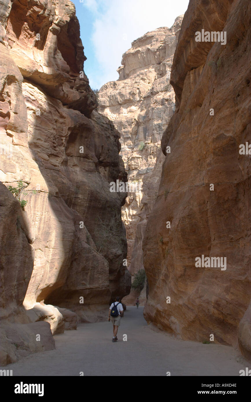 The Siq the narrow fissure leading into the lost city of Petra Jordan ...