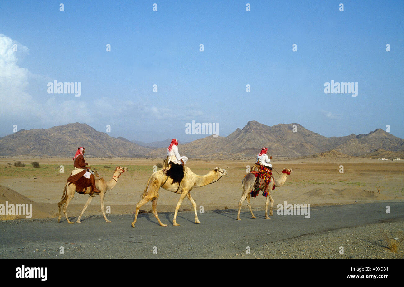Saudi Arabia Men Riding Camels Stock Photo - Alamy
