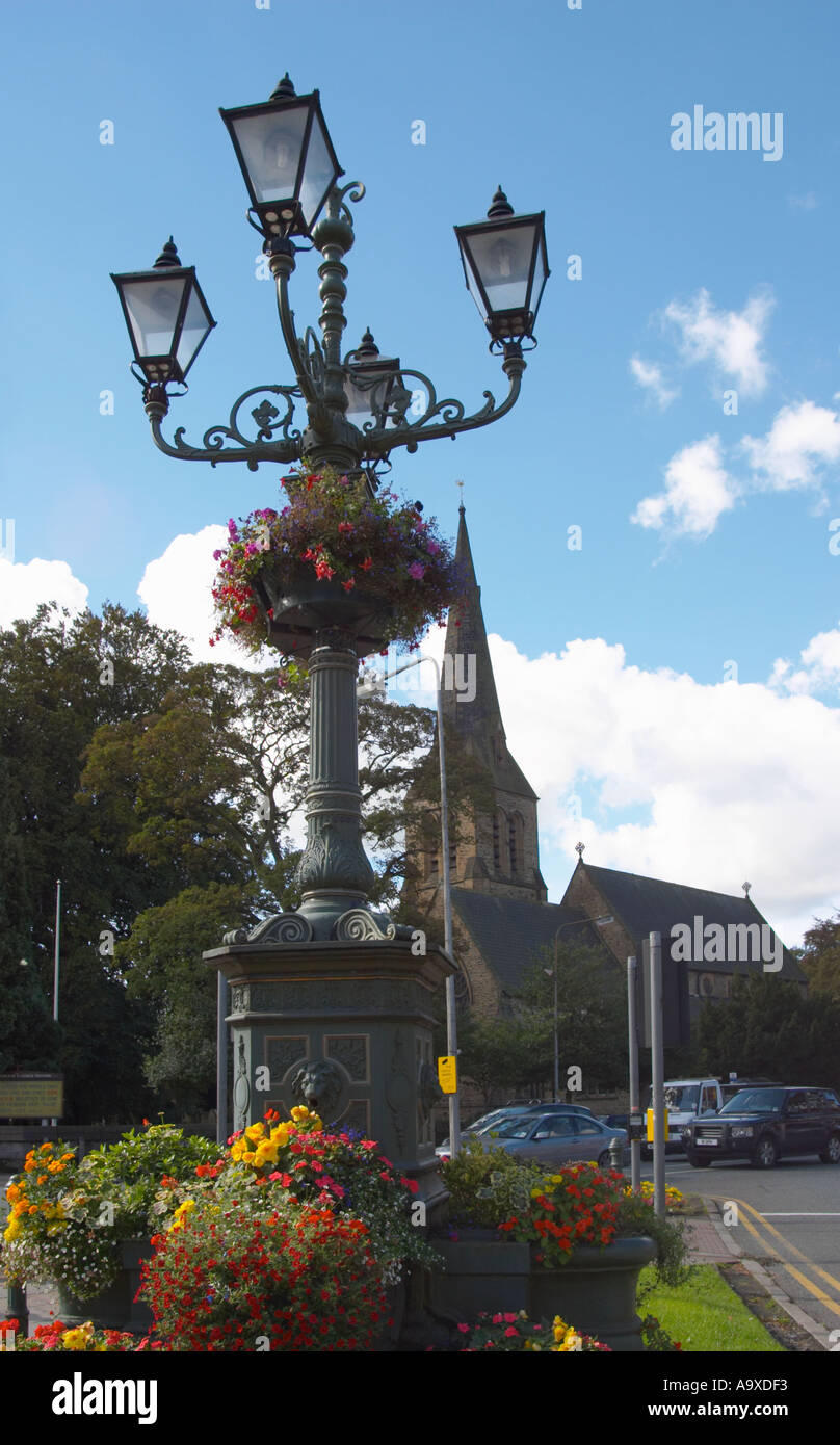 Detail from The lamp post drinking trough errect to celebrate the ...