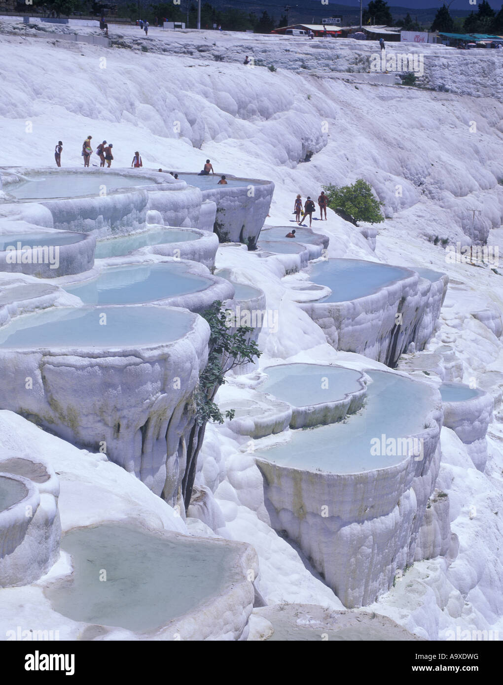 THERMAL SPRINGS TRAVERTINE POOLS LIMESTONE TERRACES PAMUKKALE TURKEY ...