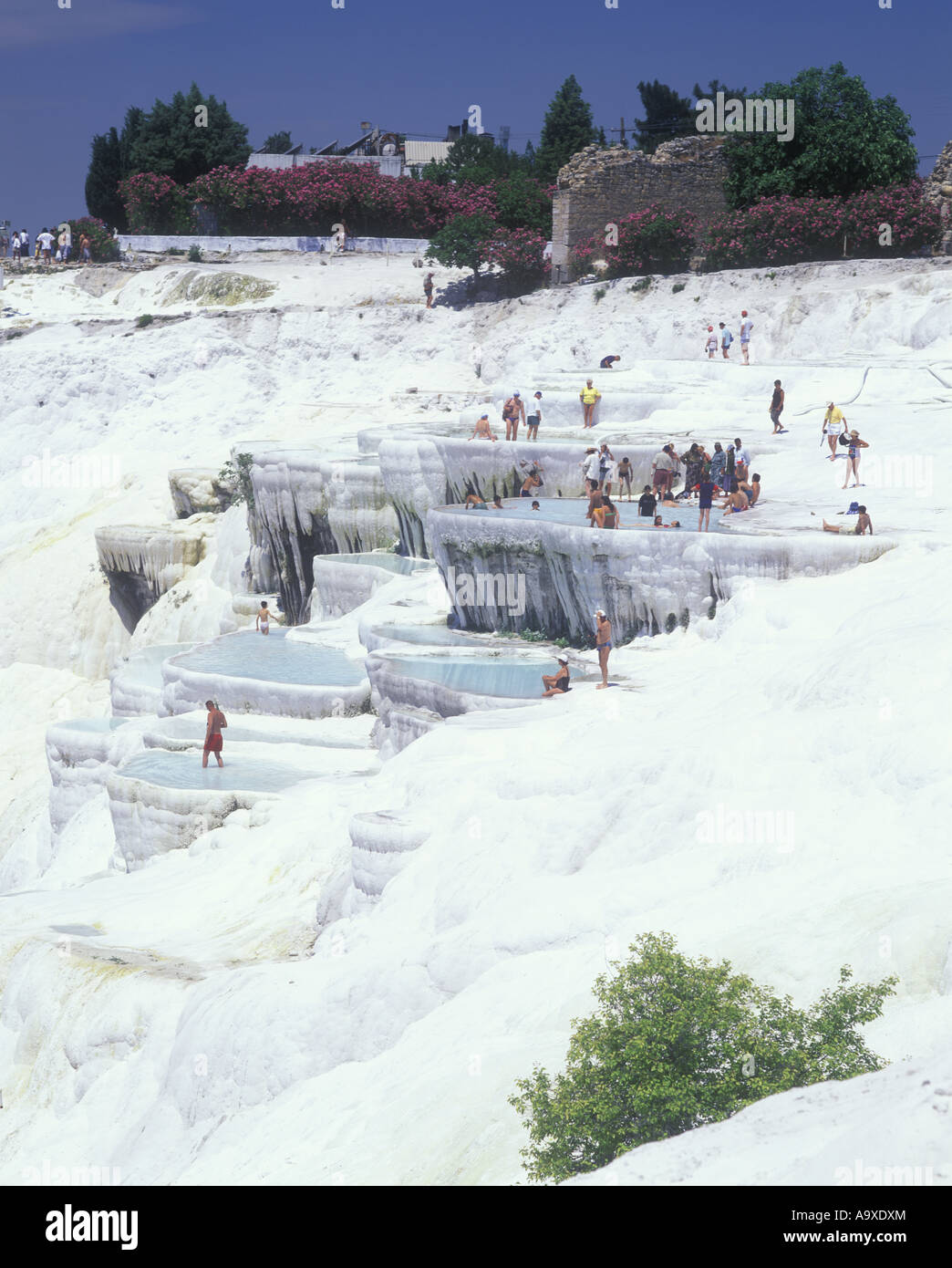 THERMAL SPRINGS TRAVERTINE POOLS LIMESTONE TERRACES PAMUKKALE TURKEY ...