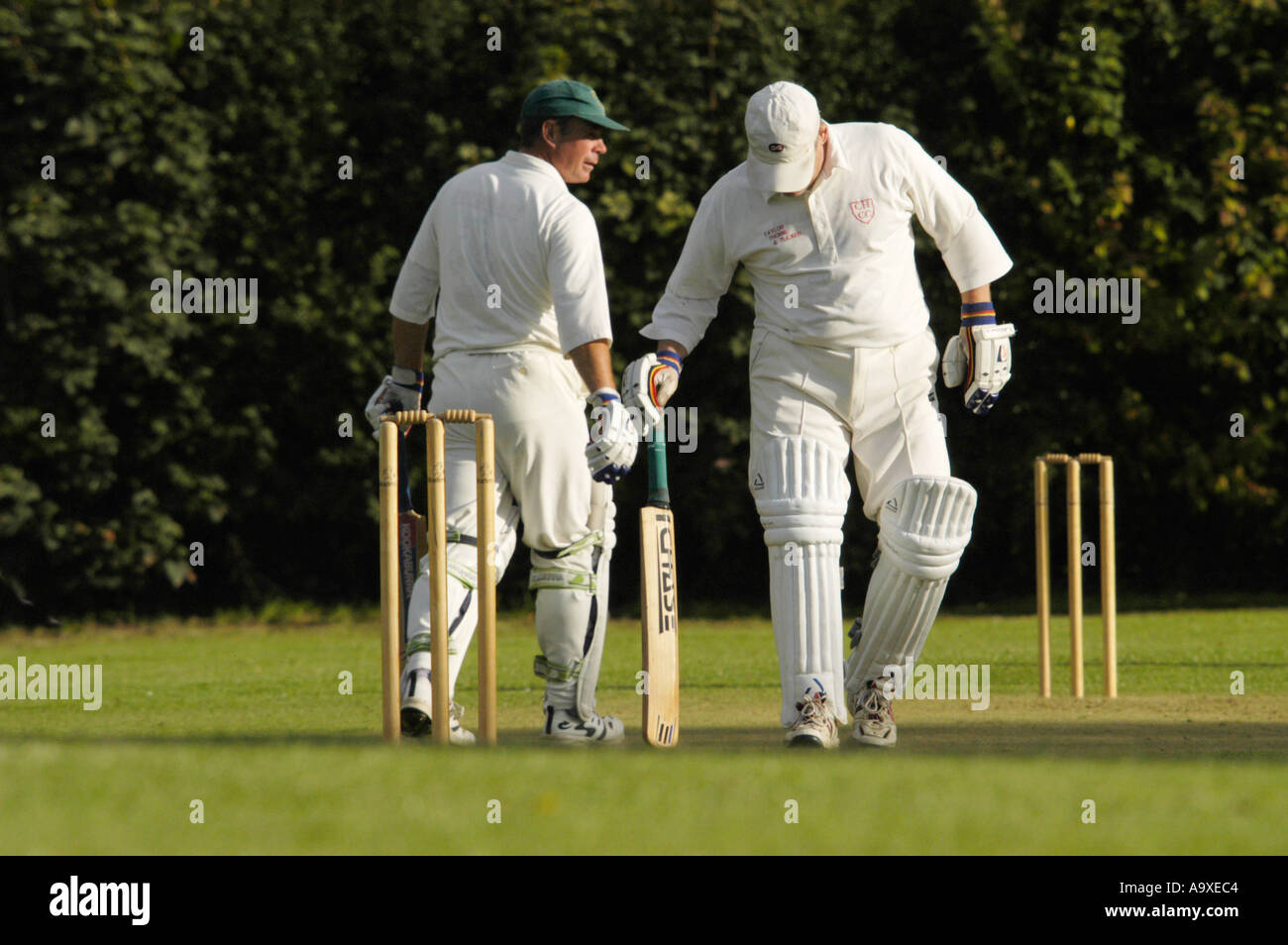 The two batsmen at the crease meet between overs Stock Photo - Alamy