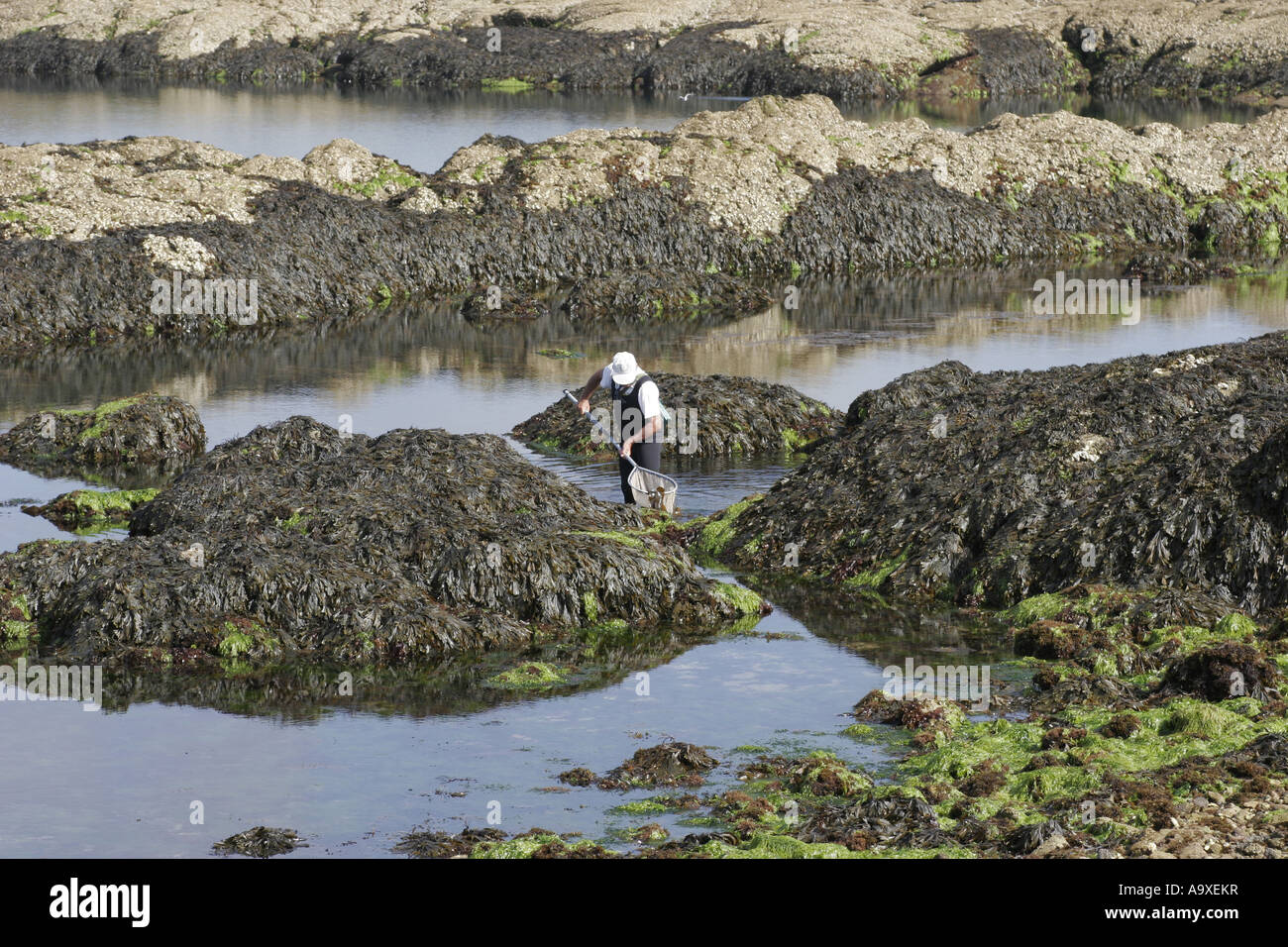 Man fishing between rocks hi-res stock photography and images - Alamy