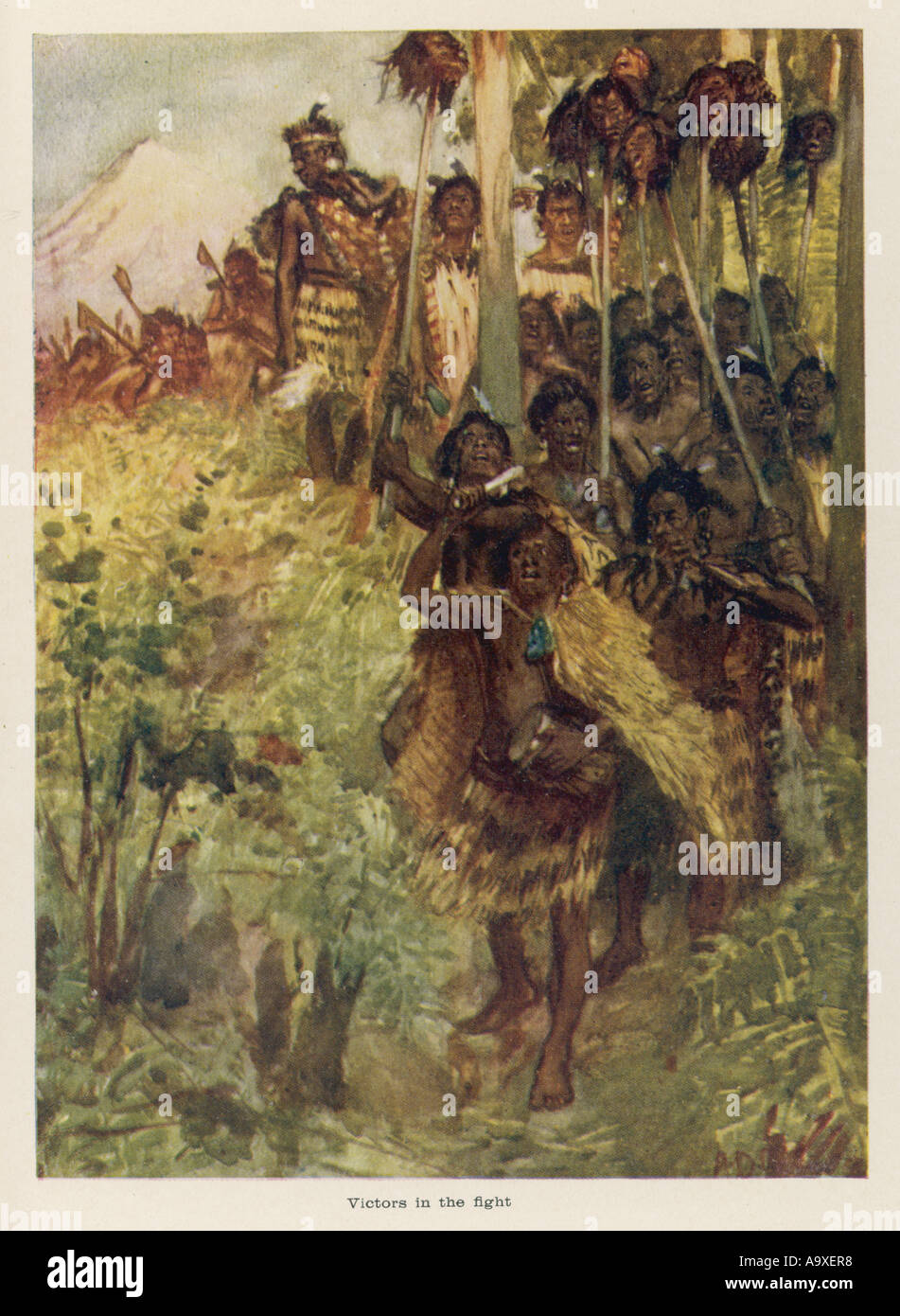 New zealand wars maori hi-res stock photography and images - Alamy