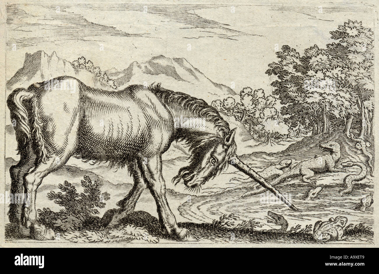 Folklore unicorns history historical hi-res stock photography and ...