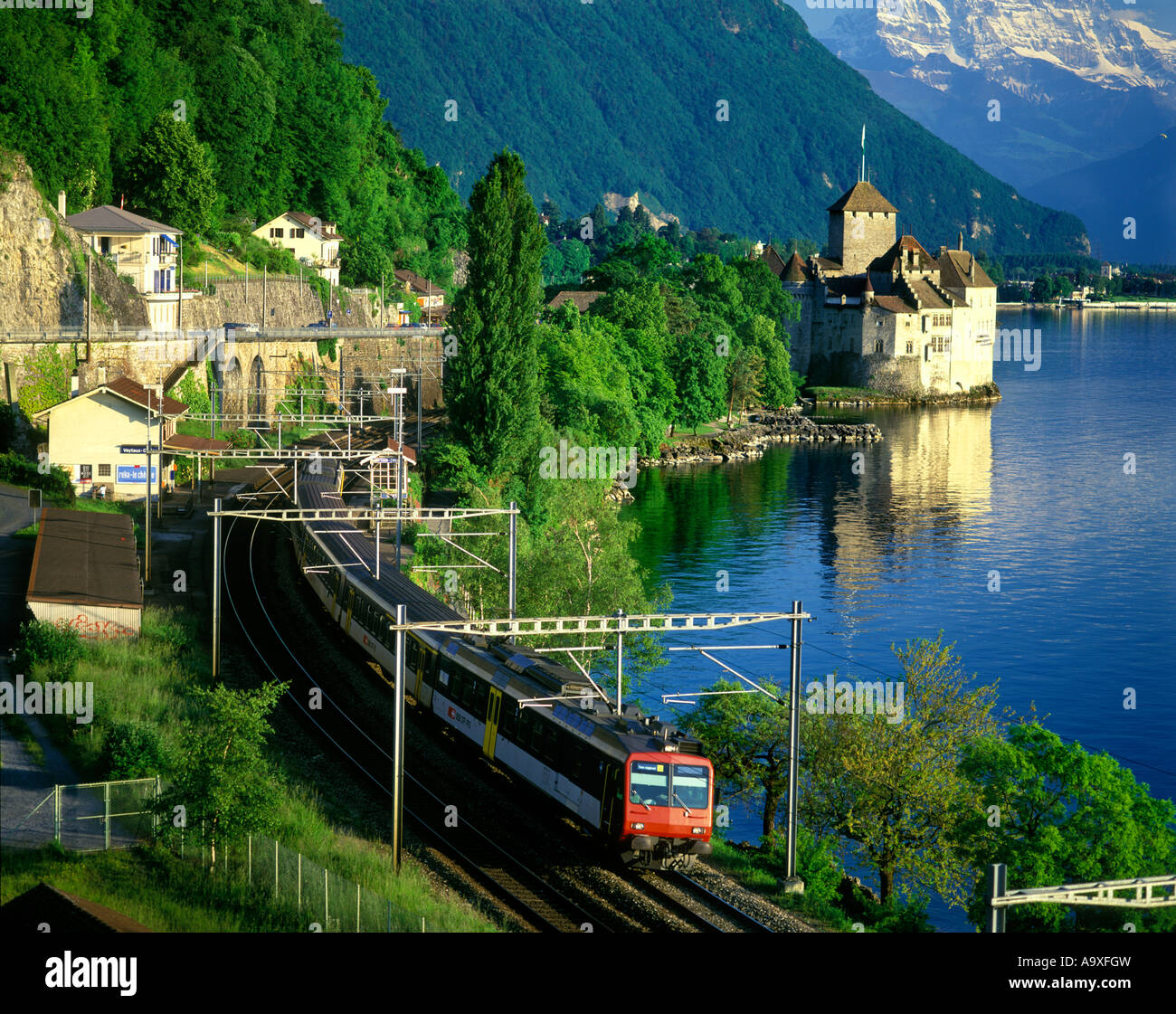 SWISS RAILWAY TRAIN CHATEAU CHILLON CASTLE MONTREUX LAKE GENEVA VAUD ...