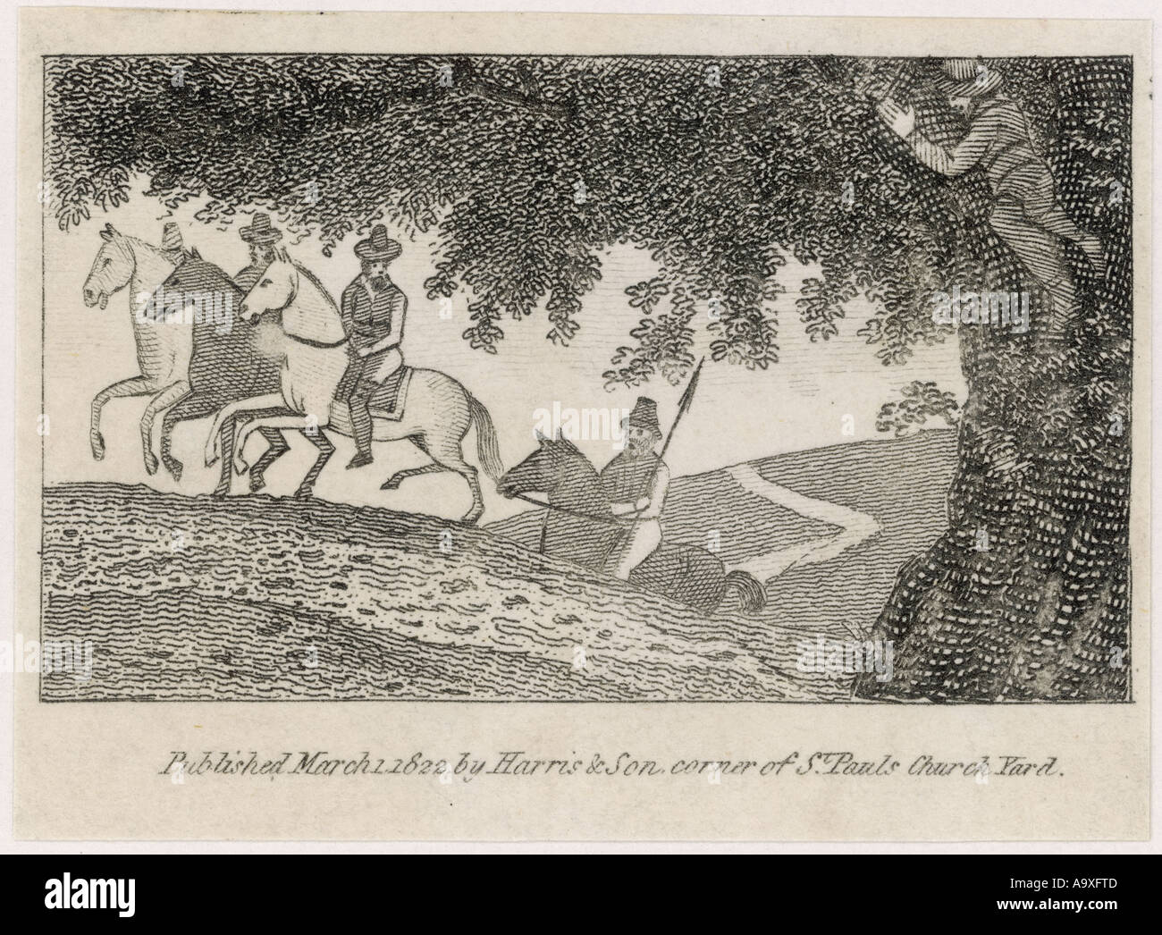 King charles ii oak tree hi-res stock photography and images - Alamy