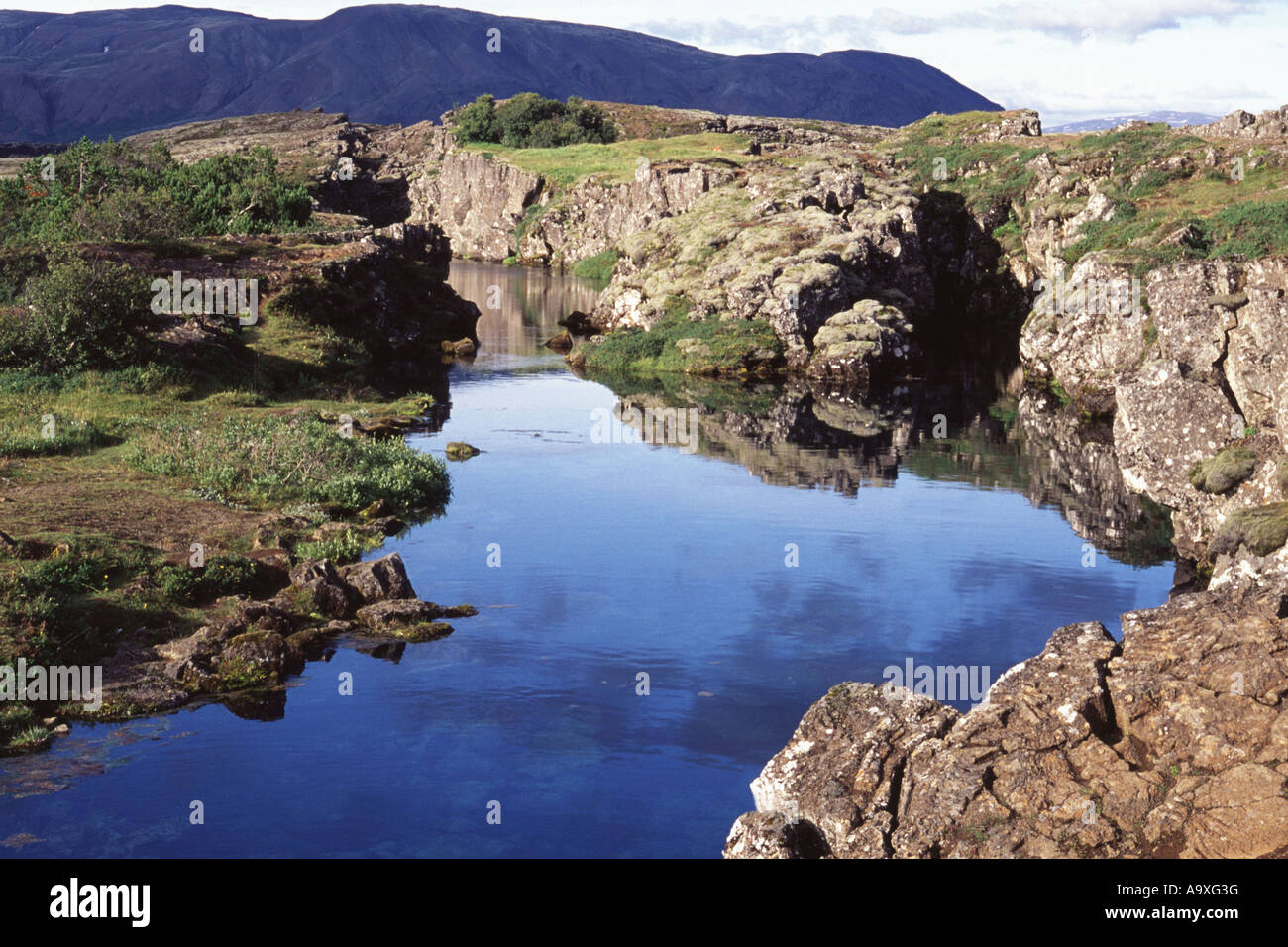 rock crevice in the Thingvellir NP, Iceland Stock Photo - Alamy