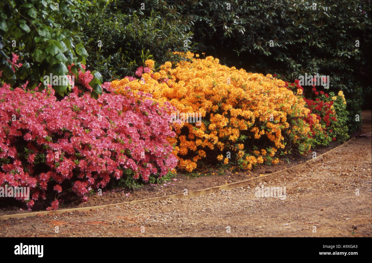Victorian shrub hi-res stock photography and images - Alamy