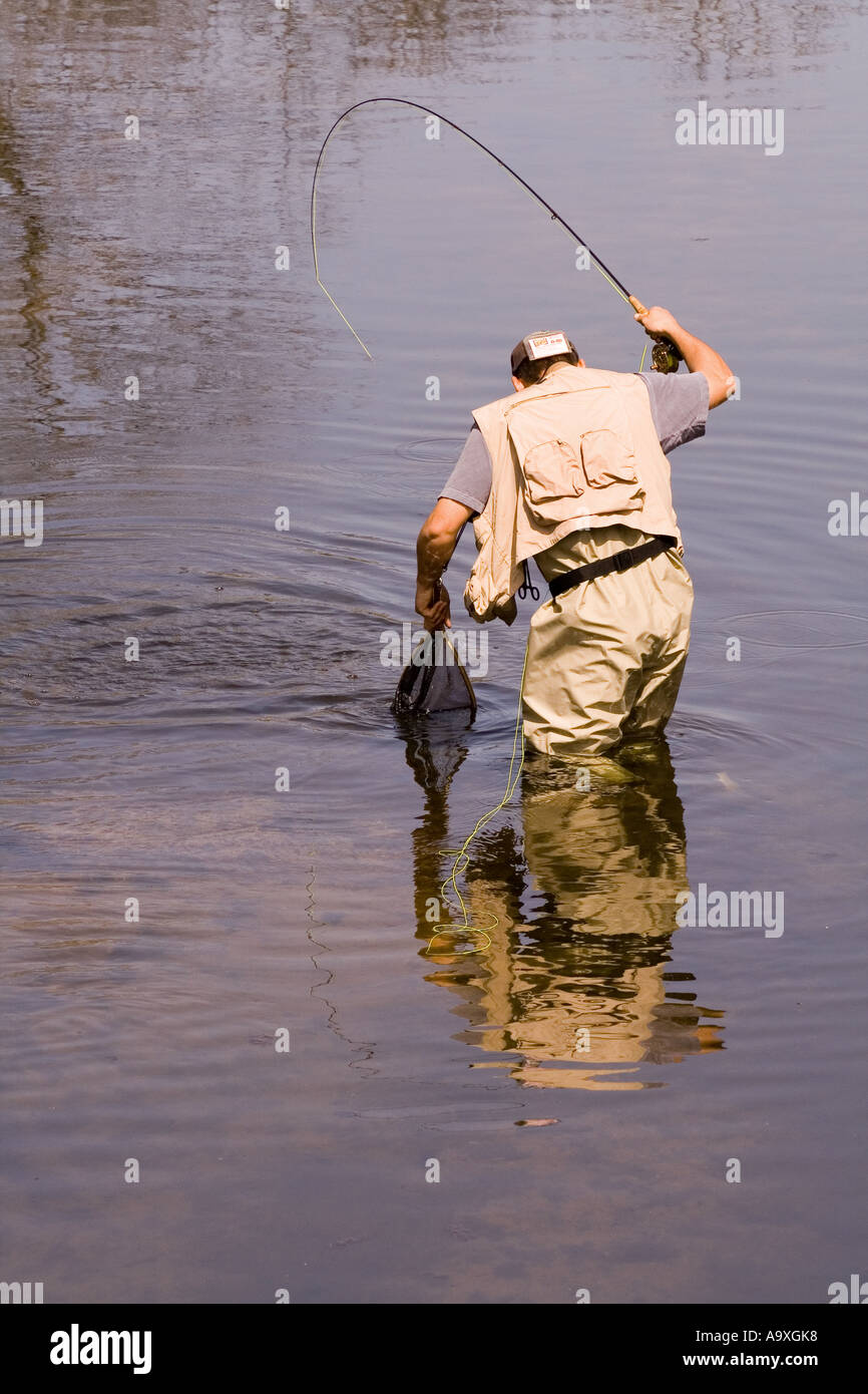 Fisherman bringing hi-res stock photography and images - Alamy