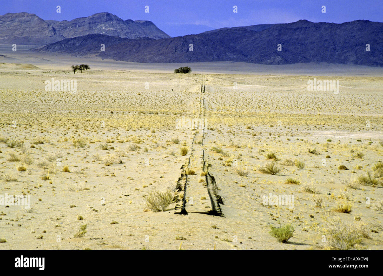 Namibian Rail High Resolution Stock Photography and Images - Alamy