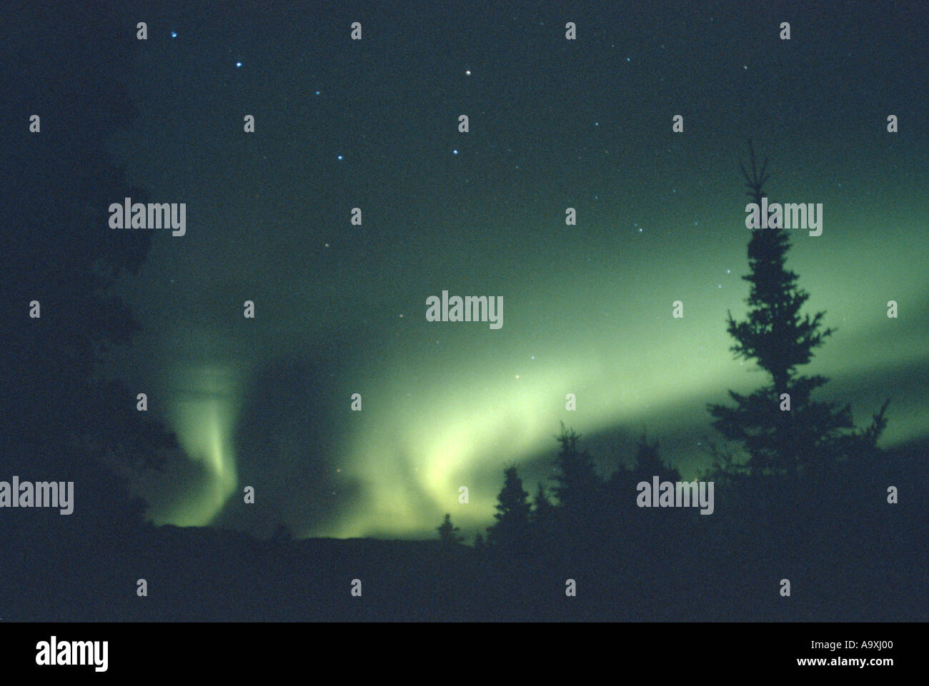 Aurora borealis denali park alaska hi-res stock photography and images ...