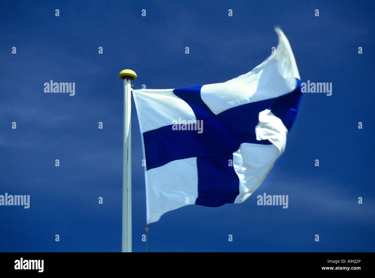 FLAG FINLAND FLYING ON FLAGPOLE Stock Photo - Alamy