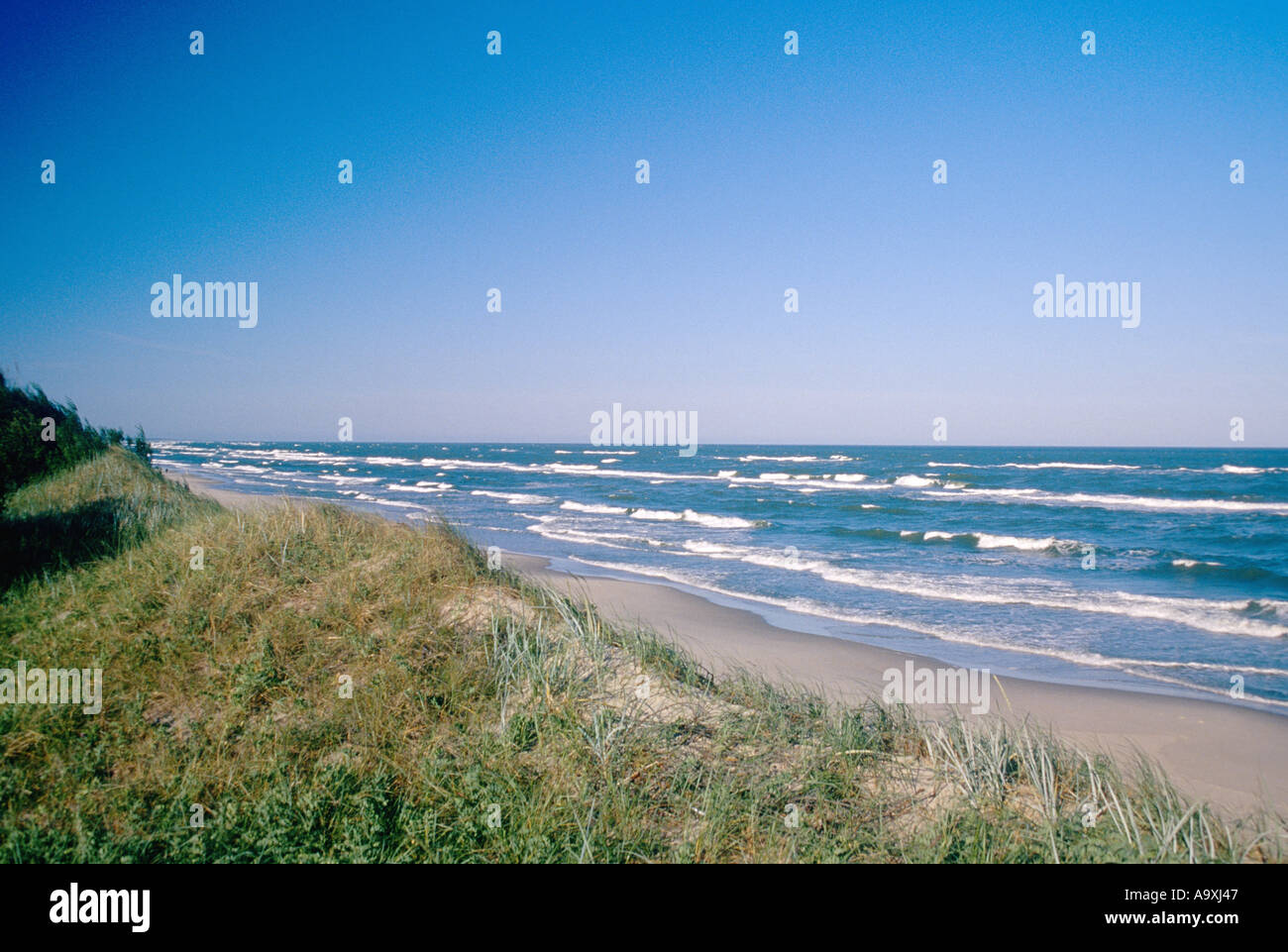 nehrung spit, spit coast, Lithuania, Courland Spit, Nidden Stock Photo ...
