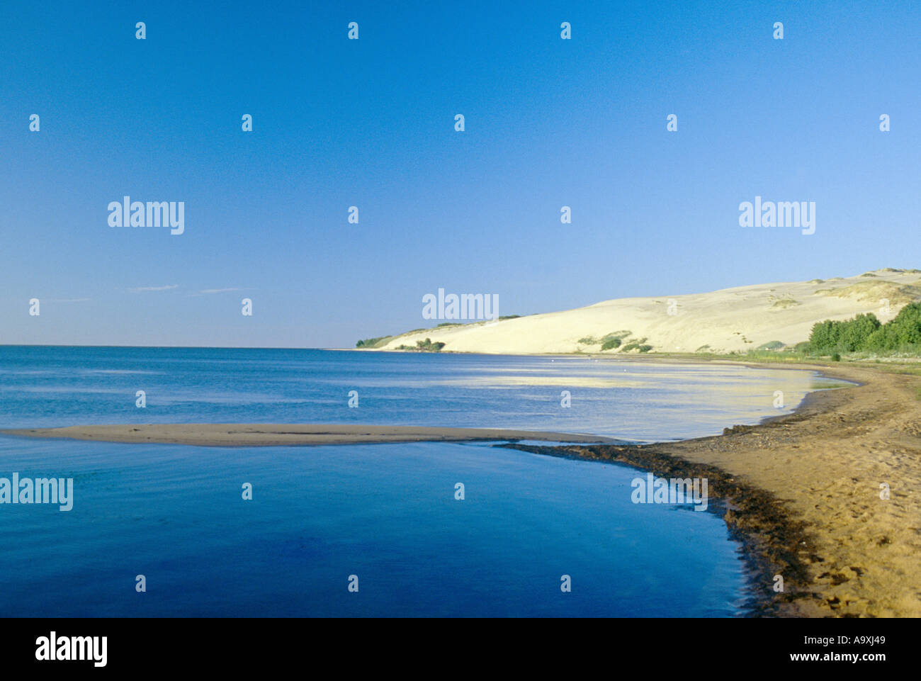 nehrung spit, spit coast, Lithuania, Courland Spit, Nidden Stock Photo ...