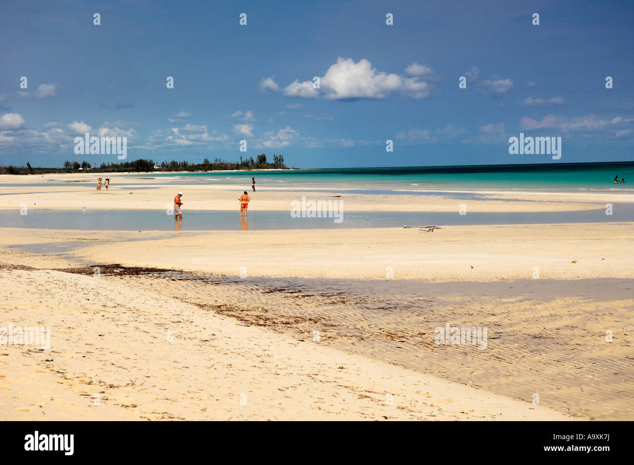 Sandy beach and sea Lucayan National Park Grand Bahama Island Stock ...